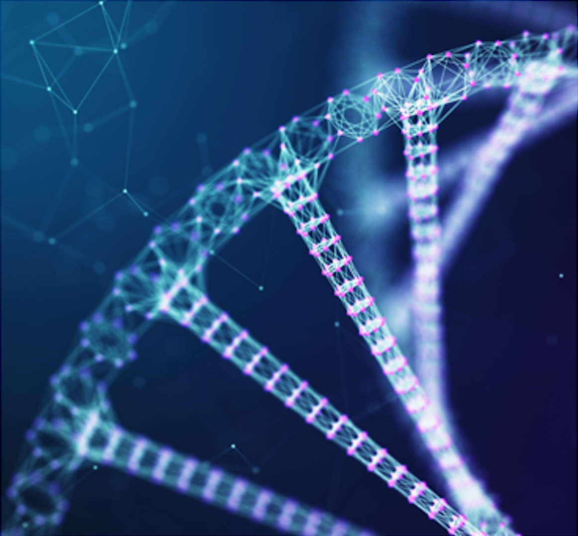 Information Technology Program Management Office (PMO) & Governance ...